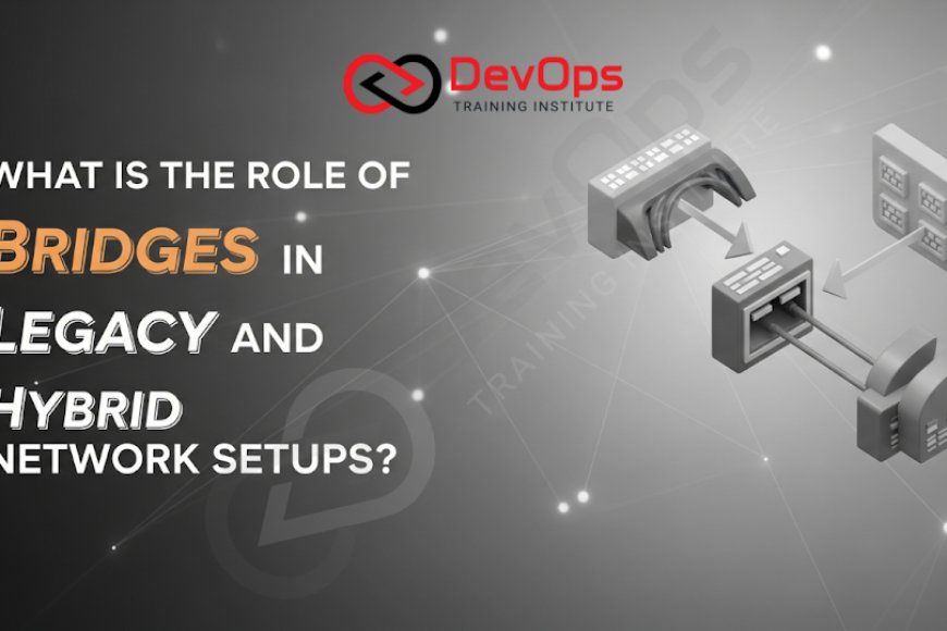 What Is the Role of Bridges in Legacy and Hybrid Network Setups? - Top ...