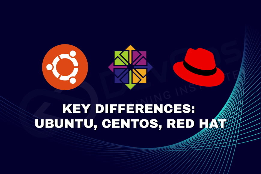 What Are the Major Differences Between Ubuntu, CentOS, and Red Hat ...