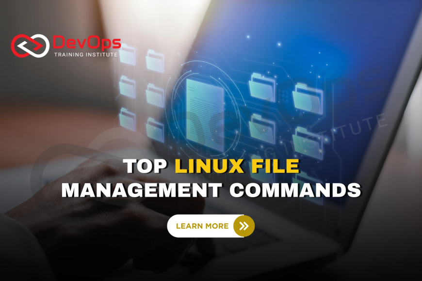 What Are the Most Common Linux File Management Commands and How Are They Used? - Top DevOps ...