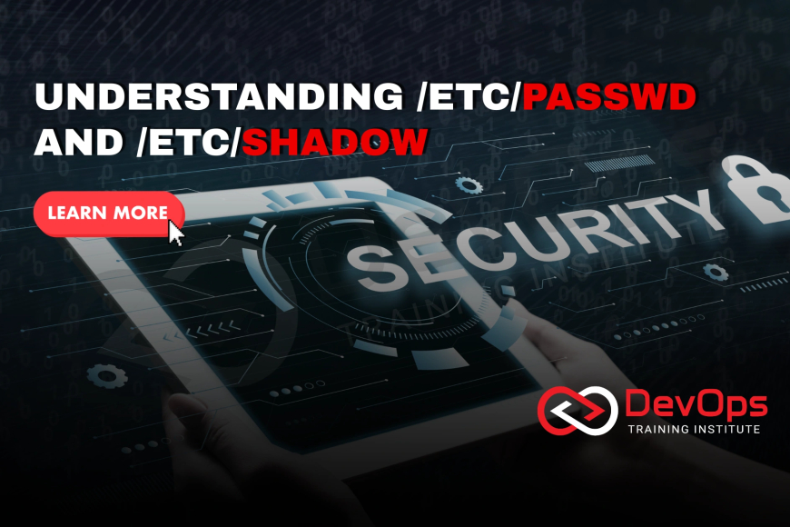 What Are the Roles of /etc/passwd and /etc/shadow in User Management ...