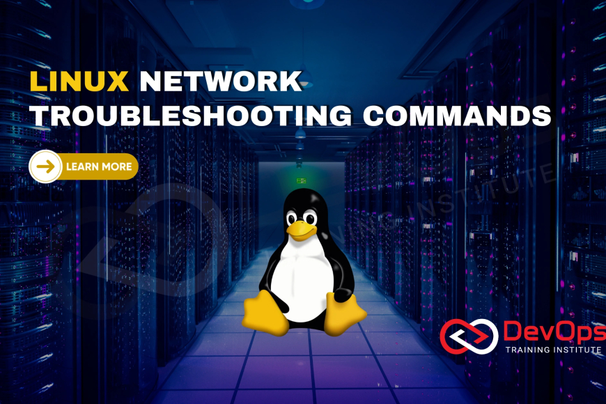 How Do You Use ping, traceroute, and netstat for Network Diagnostics ...
