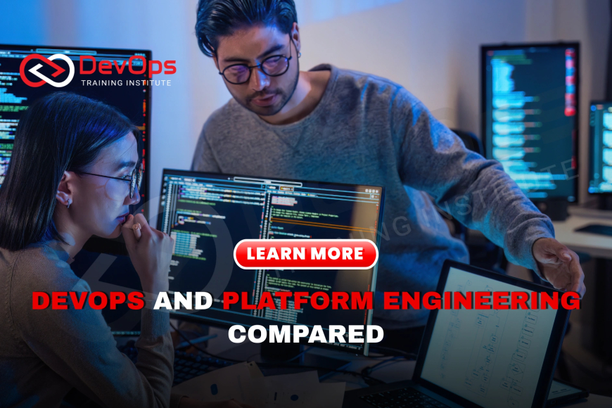What Are the Main Differences Between DevOps and Platform Engineering ...