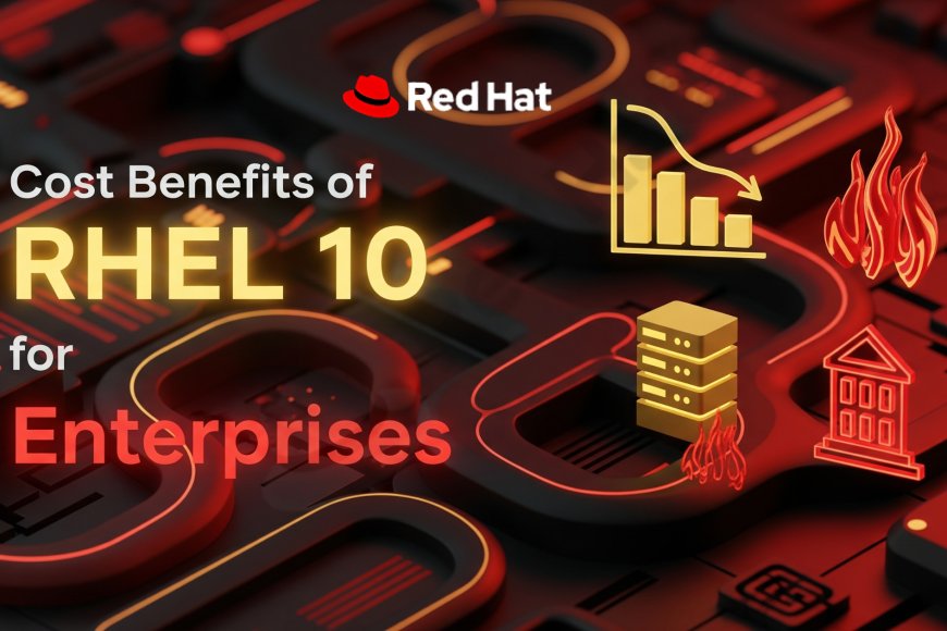 Cost Benefits of Deploying RHEL 10 for Enterprises - Top DevOps Training Institute Blog | DevOps ...