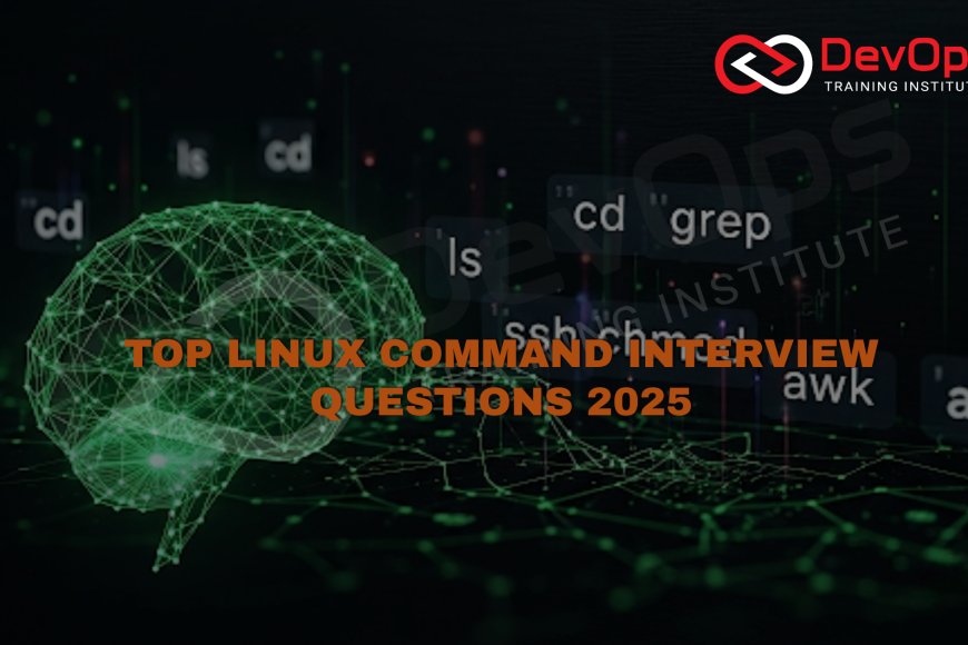 Top Linux Command-Based Interview Questions [2025] - Top DevOps Training Institute Blog | DevOps ...